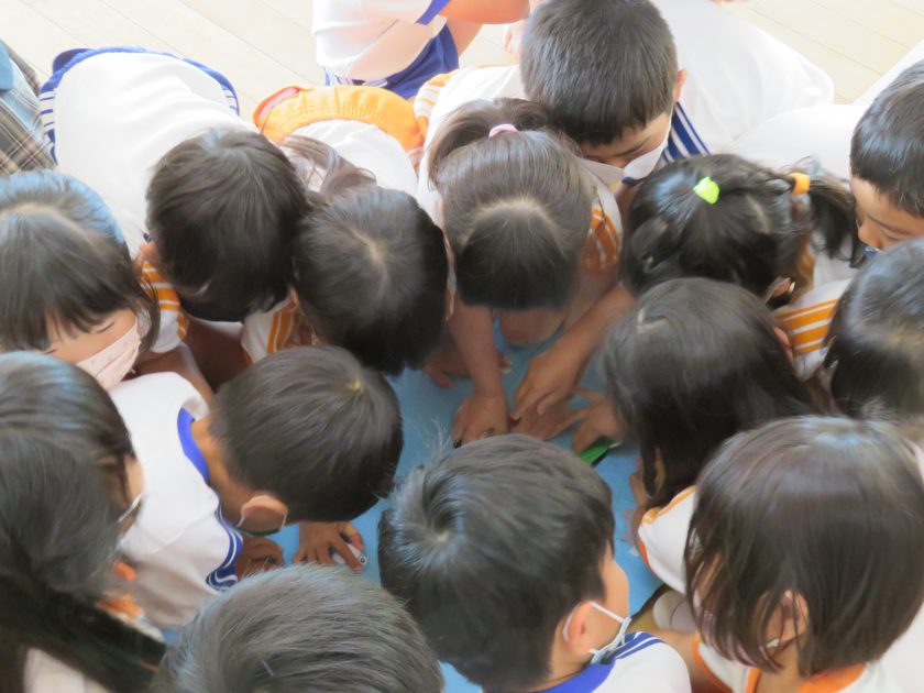 【カメプロ】園児たちにニホンイシガメの保全に向けた啓発活動を行ってきました！ – 愛知県立渥美農業高等学校